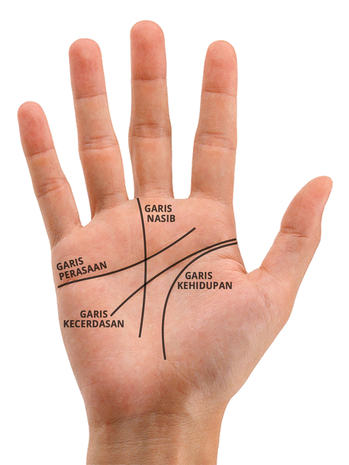 Kenali Diri Dengan Membaca Garis Tangan Palmistry | GOODLIFE