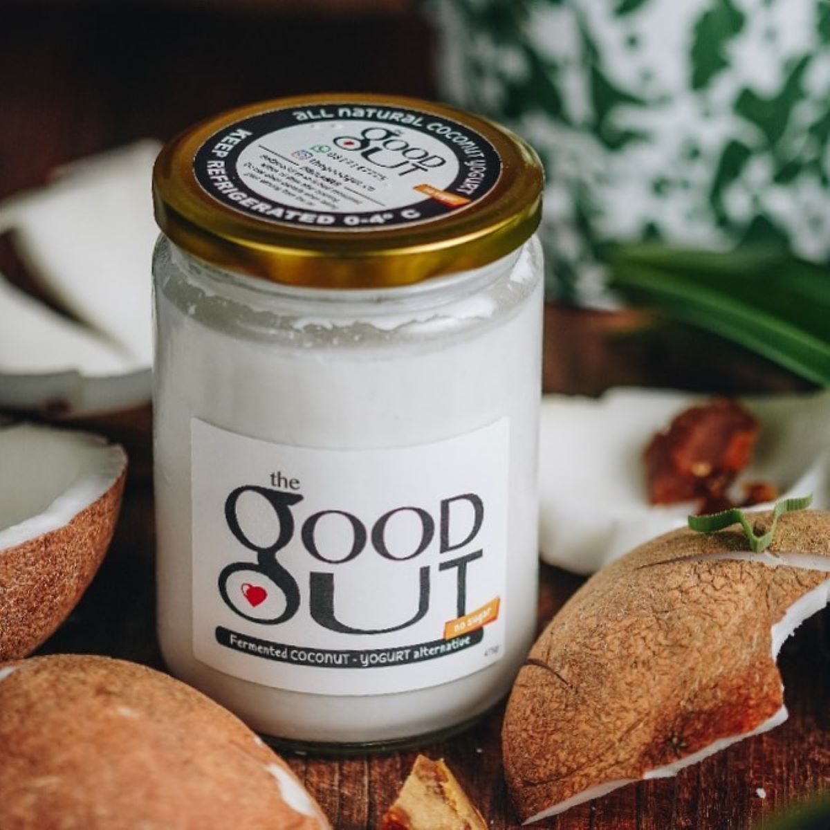 3 Coconut Yogurt Produksi Lokal Plus Resep Buat Bikin Sendiri di Rumah ...